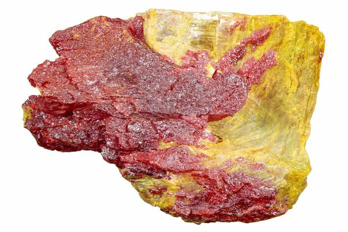 1.6" Vibrant Orpiment and Realgar Association - Russia (#247326) For ...