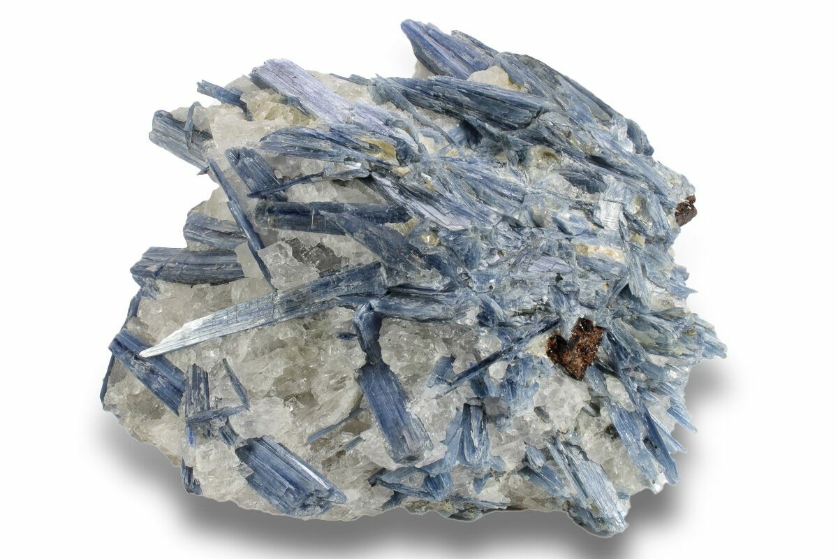 6.9" Vibrant Blue Kyanite Crystals In Quartz - Brazil (#247134) For ...