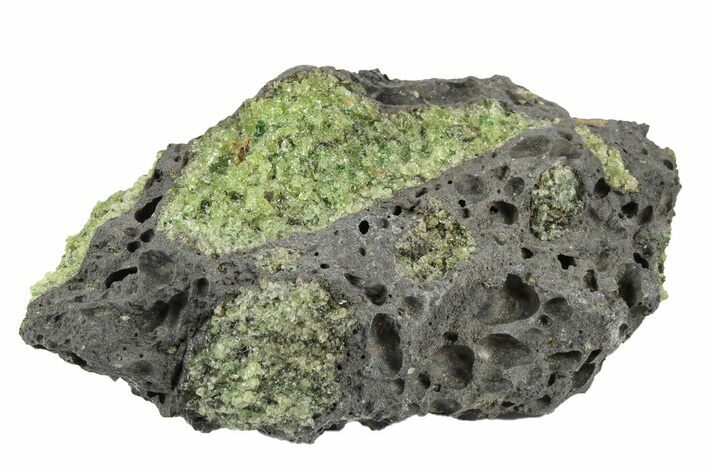 5.2" Peridot in Basalt - Arizona (#247738) For Sale - FossilEra.com