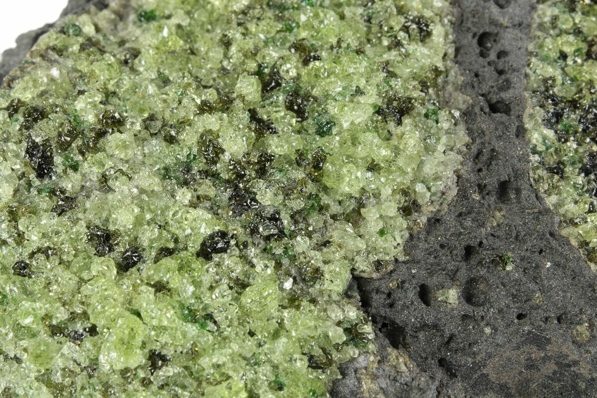 4.6" Peridot in Basalt - Arizona (#247739) For Sale - FossilEra.com