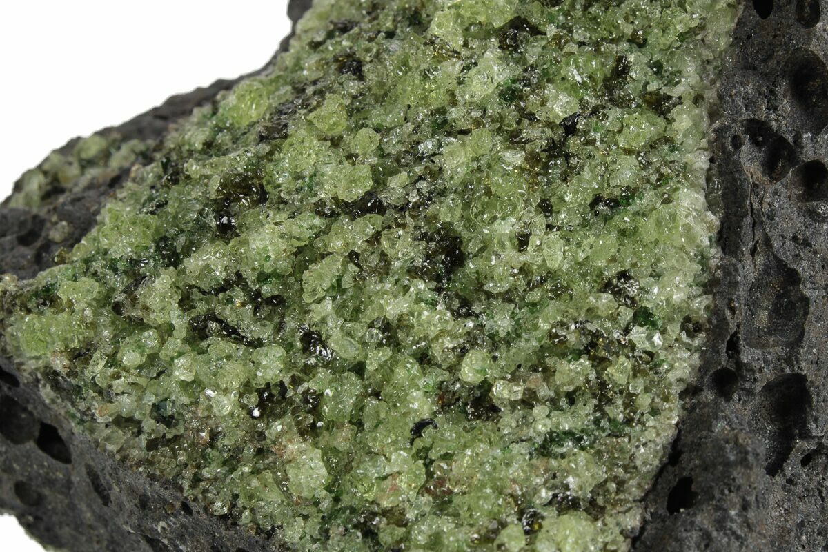 3.9" Peridot in Basalt - Arizona (#247750) For Sale - FossilEra.com