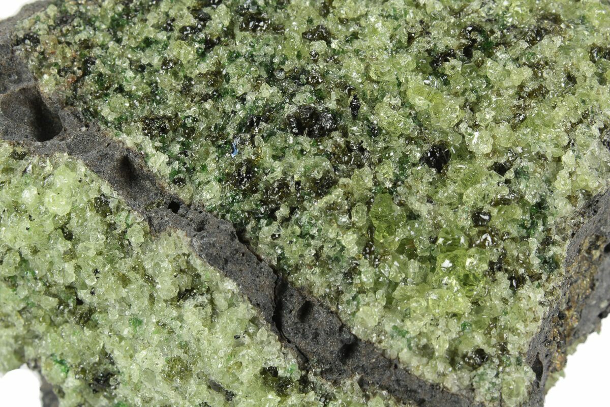 3.2" Peridot in Basalt - Arizona (#247751) For Sale - FossilEra.com