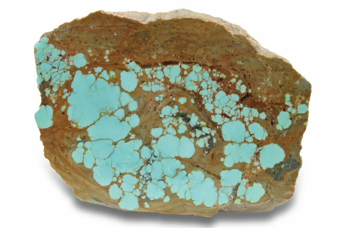 2.55" Polished Turquoise Slab - Number 8 Mine, Carlin, NV (#248336) For ...
