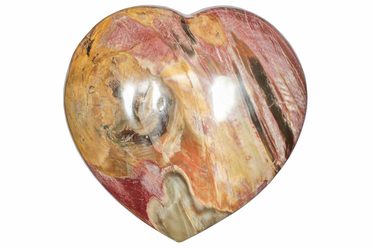 4.8" Polished Triassic Petrified Wood Heart - Madagascar (#249186) For ...