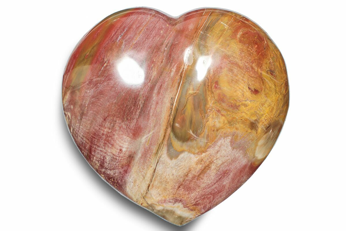 4.8" Polished Triassic Petrified Wood Heart - Madagascar (#249186) For ...