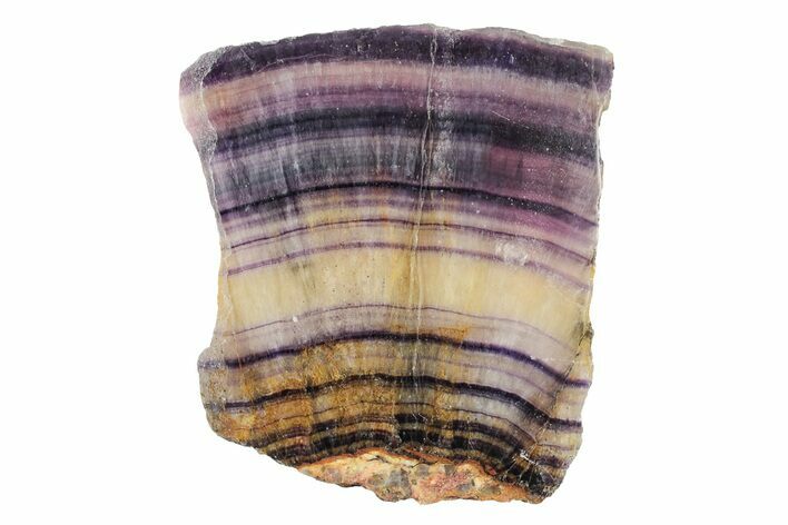 Colorful, 3.5" Polished Rainbow Fluorite Slab (#250492) For Sale ...