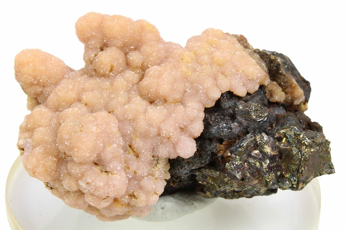 1.45" Botryoidal Rhodochrosite Formation - Santa Eulalia, Mexico ...