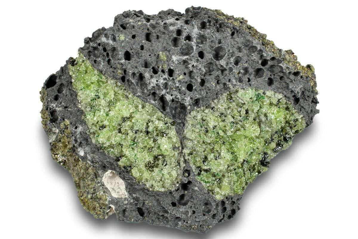 3.9" Peridot in Basalt - Arizona (#253785) For Sale - FossilEra.com
