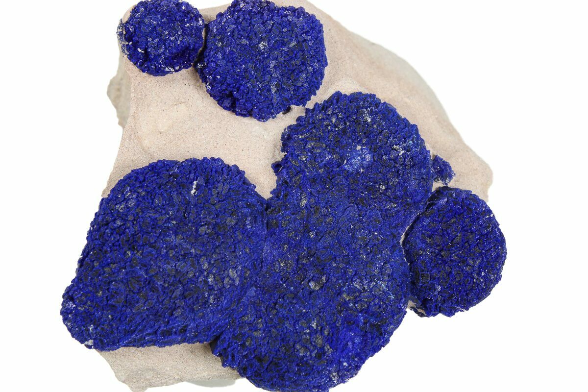Vibrant Blue Azurite Suns on Siltstone - Australia (#254044) For Sale ...