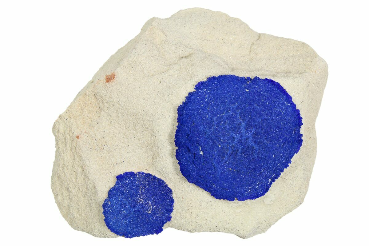 Vibrant Blue Azurite Suns on Siltstone - Australia (#254057) For Sale ...