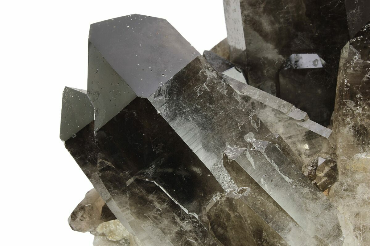 8.1" Smoky Quartz Crystal Cluster - Brazil (#255382) For Sale ...