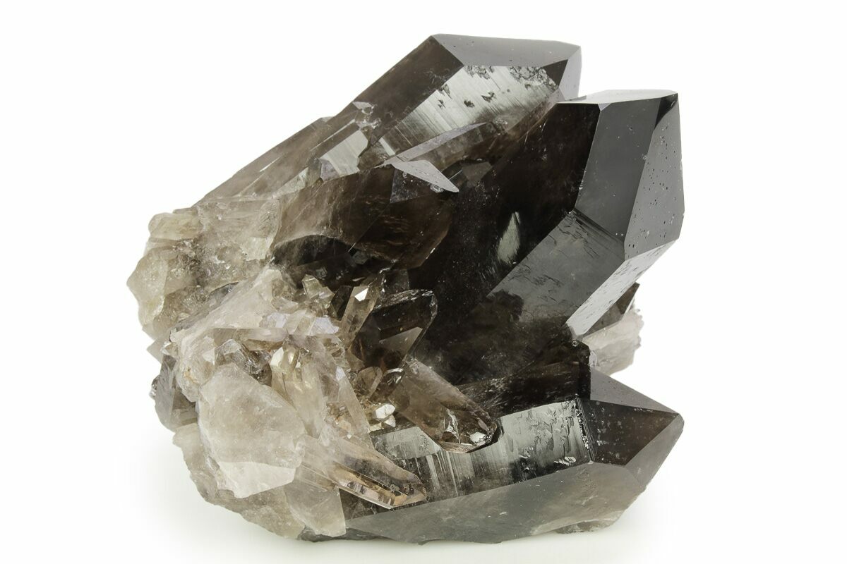 8.1" Smoky Quartz Crystal Cluster - Brazil (#255382) For Sale ...