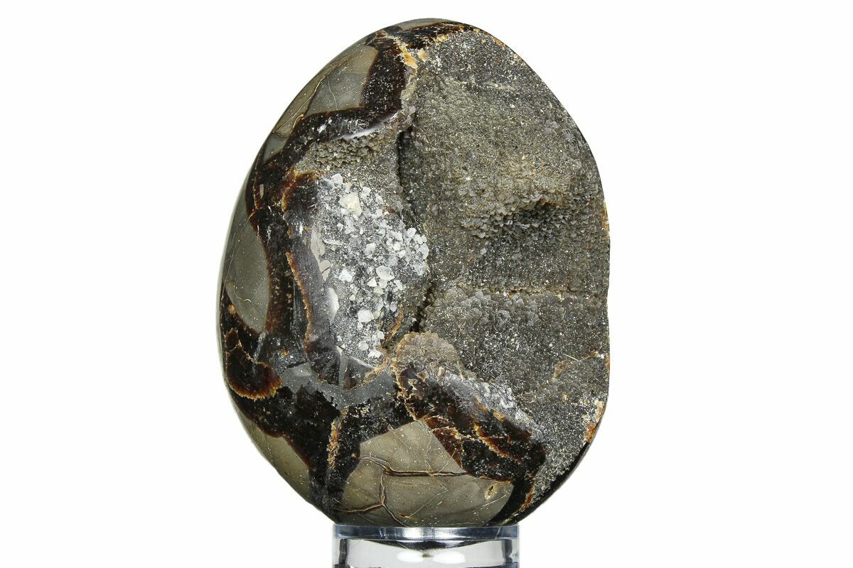 5" Septarian "Dragon Egg" Geode (#253624) For Sale - FossilEra.com