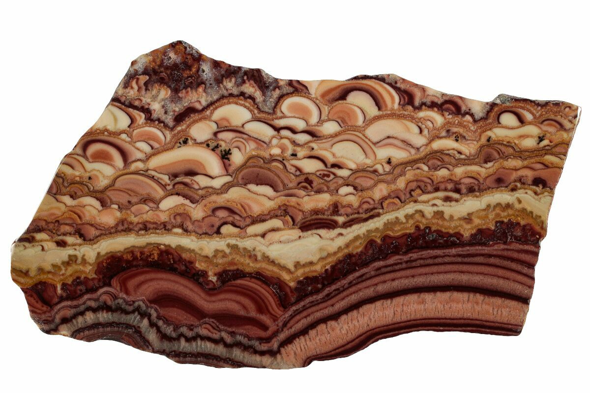 4.45" Polished Slab Of Rolling Hills Dolomite - Mexico (#257524) For ...