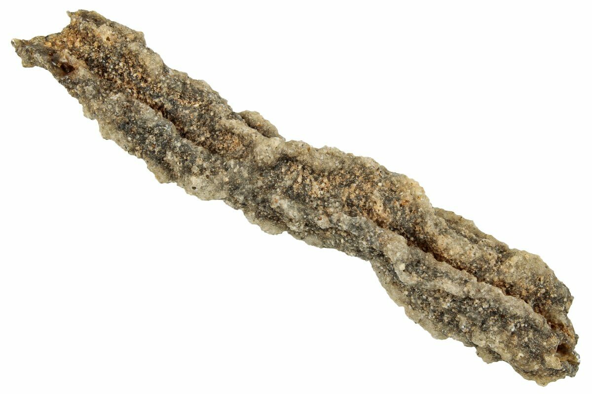 2.9" Fulgurite - "Petrified Lightning" (#260452) For Sale - FossilEra.com