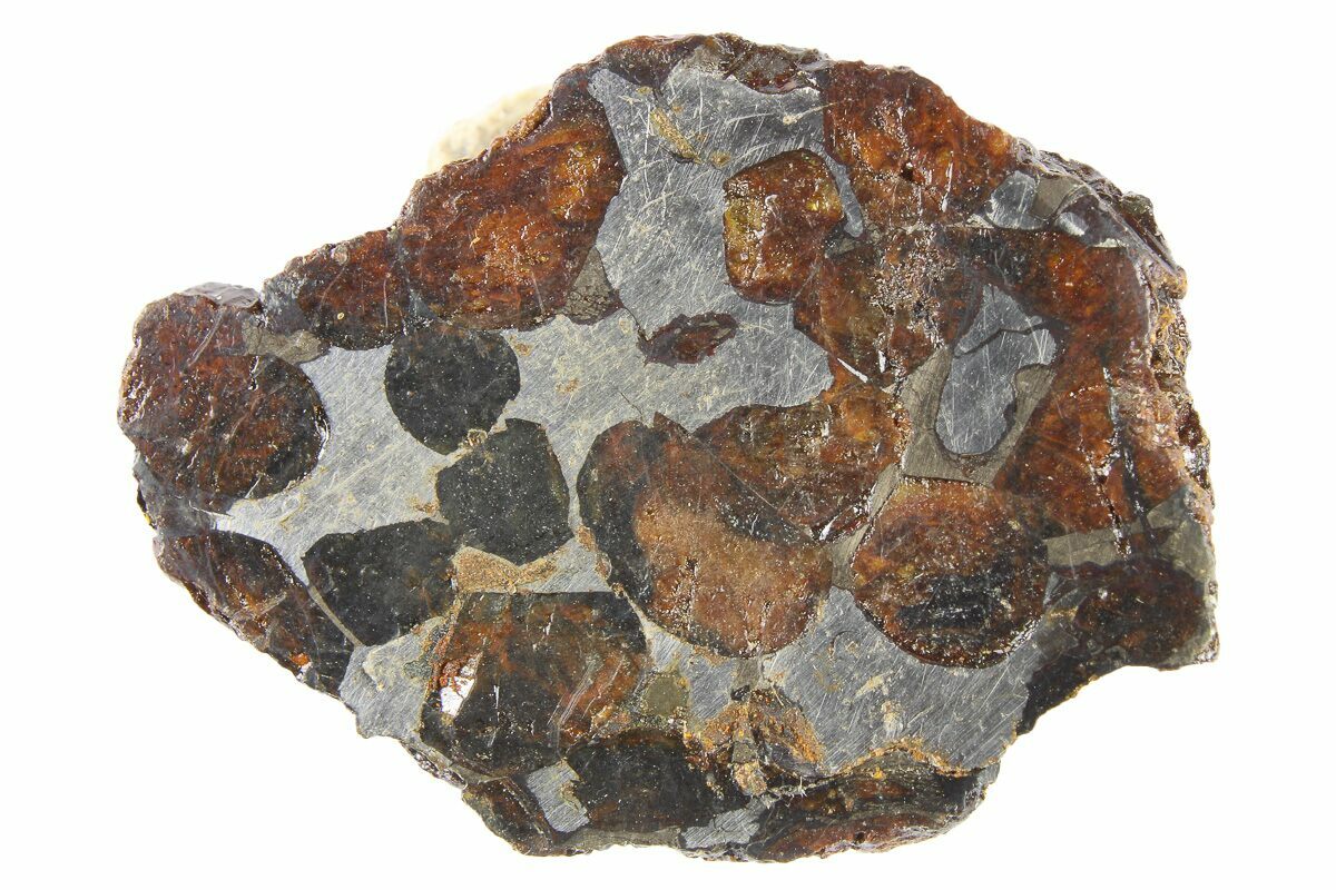 1.15" Polished Sericho Pallasite Meteorite (9.1 g) - Kenya (#262927 ...
