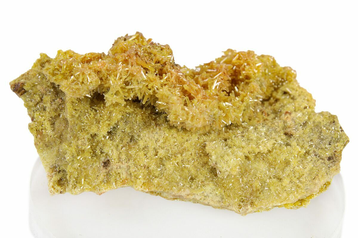 1.7" Mimetite Crystal Clusters on Limonitic Matrix - Mexico (#261933 ...