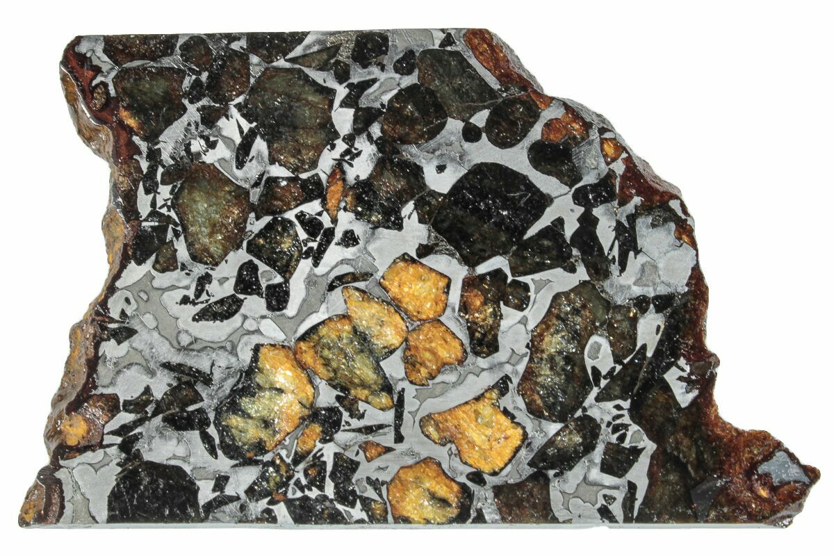 2.45" Seymchan Pallasite Meteorite Slice (25.4 g) - Russia (#263202 ...