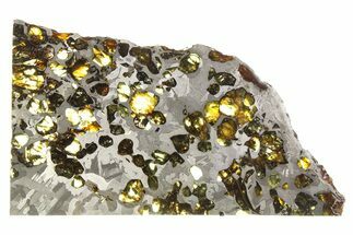 Pallasite Meteorites For Sale - FossilEra.com