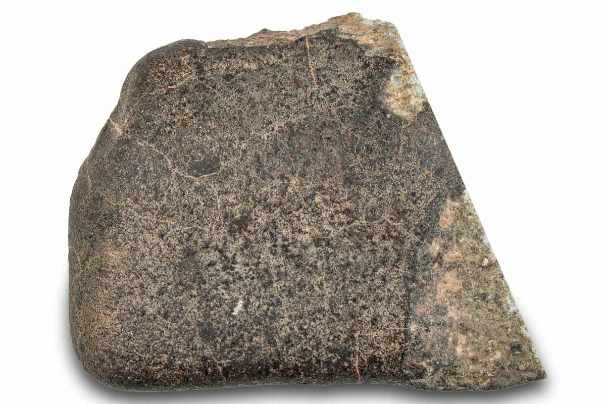 2.5" Cut Chondrite Meteorite With Crust (154.1 g) - Unclassified NWA ...