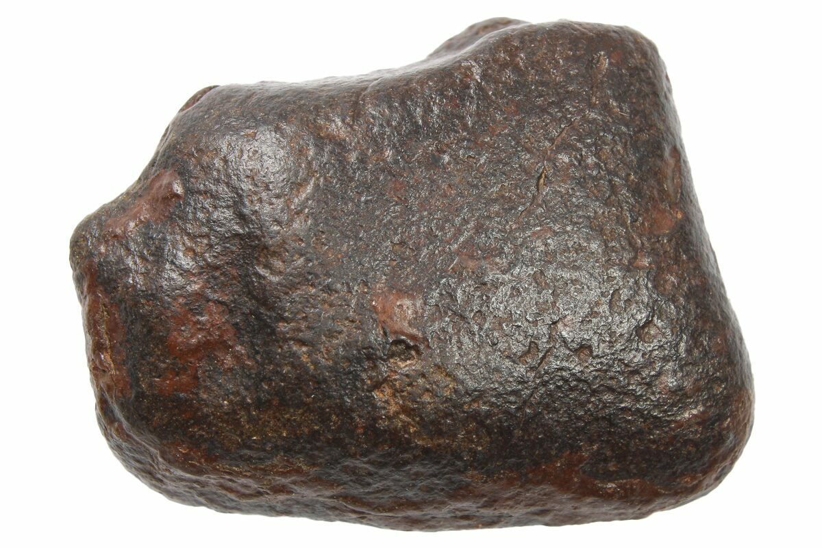1.03" Chondrite Meteorite (10.58 g) - Unclassified NWA (#265863) For ...