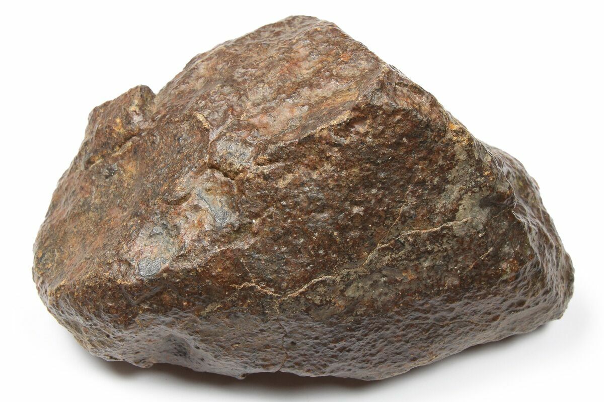 4.7" Chondrite Meteorite (897.8 g) - Unclassified NWA (#265881) For ...