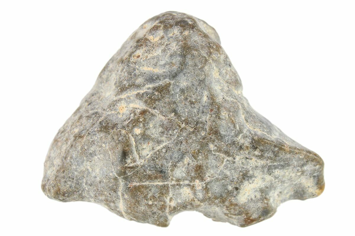 .68" Lunar Meteorite (2g) - NWA 13974 (#267816) For Sale - FossilEra.com