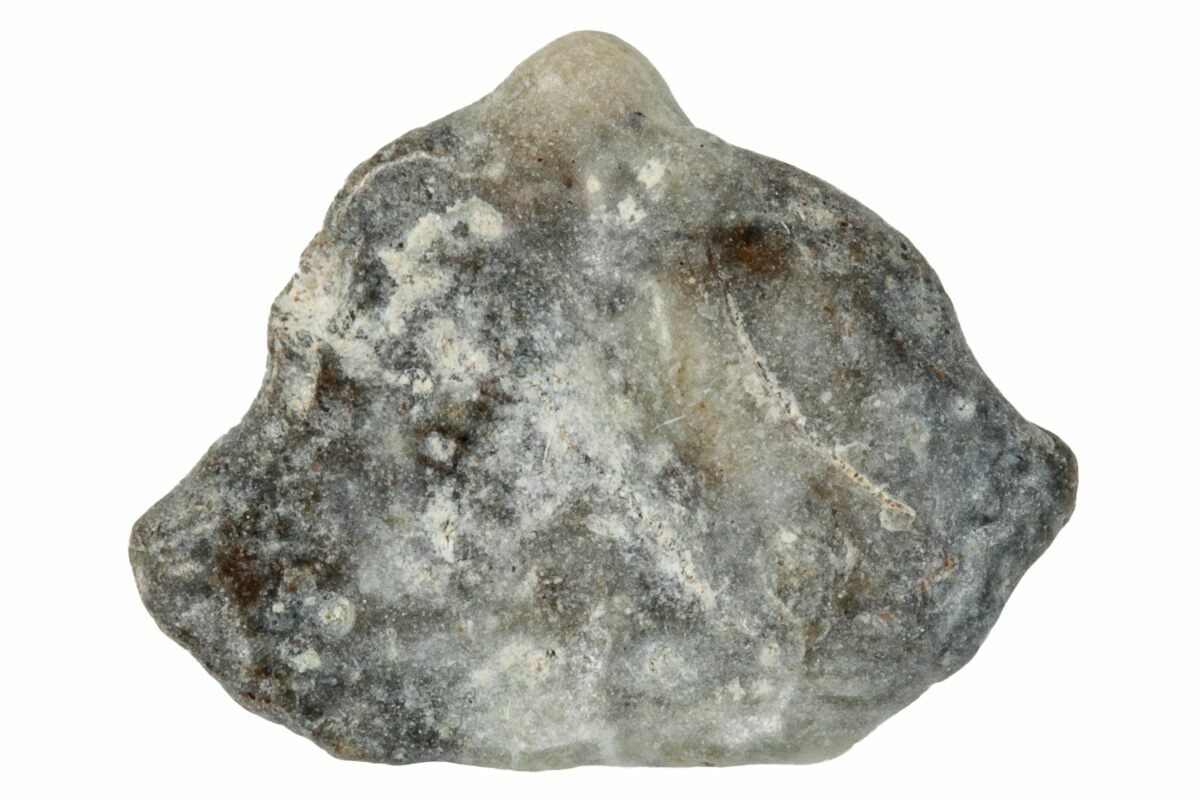 .47" Lunar Meteorite (0.29 g) - NWA 13974 (#267951) For Sale ...