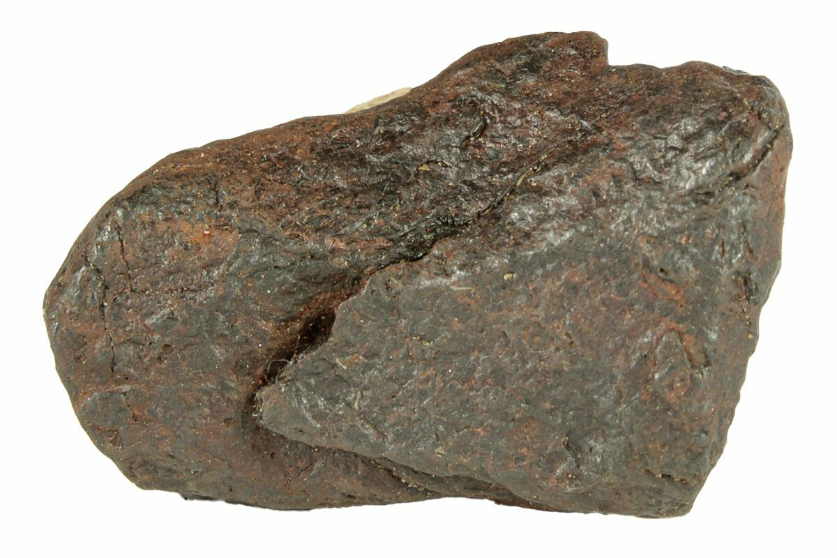 .95" Canyon Diablo Iron Meteorite (8.9 g) - Arizona (#270786) For Sale ...