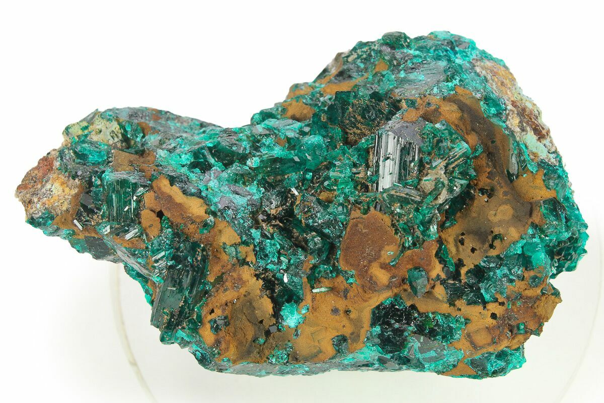 2" Lustrous Dioptase Crystal Cluster - Congo (#272951) For Sale ...