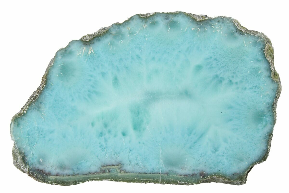 2.4" Slice Of Larimar Replaced Wood Limb Cast (#278344) For Sale ...