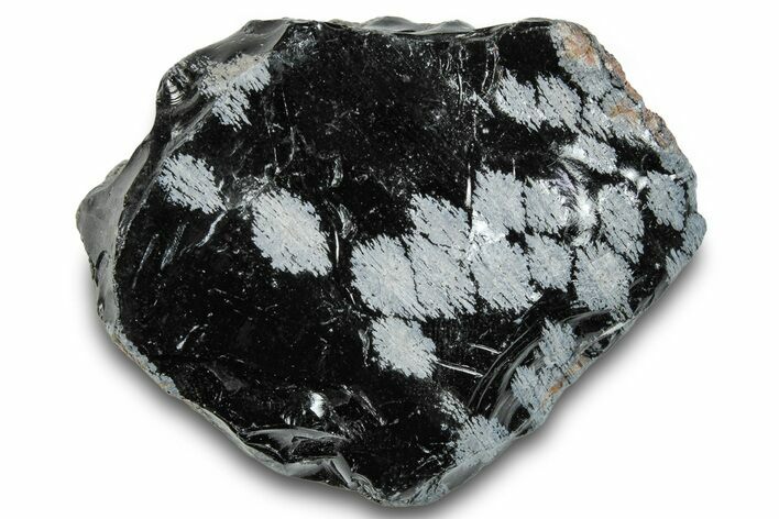 2.3" Snowflake Obsidian Section - Utah (#279840) For Sale - FossilEra.com