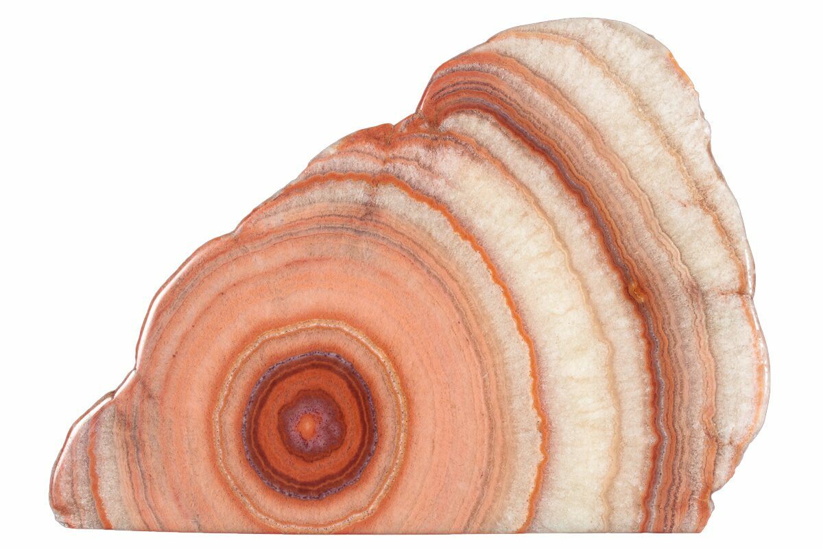 3.25" Polished Potato Agate Slice - England (#283056) For Sale ...