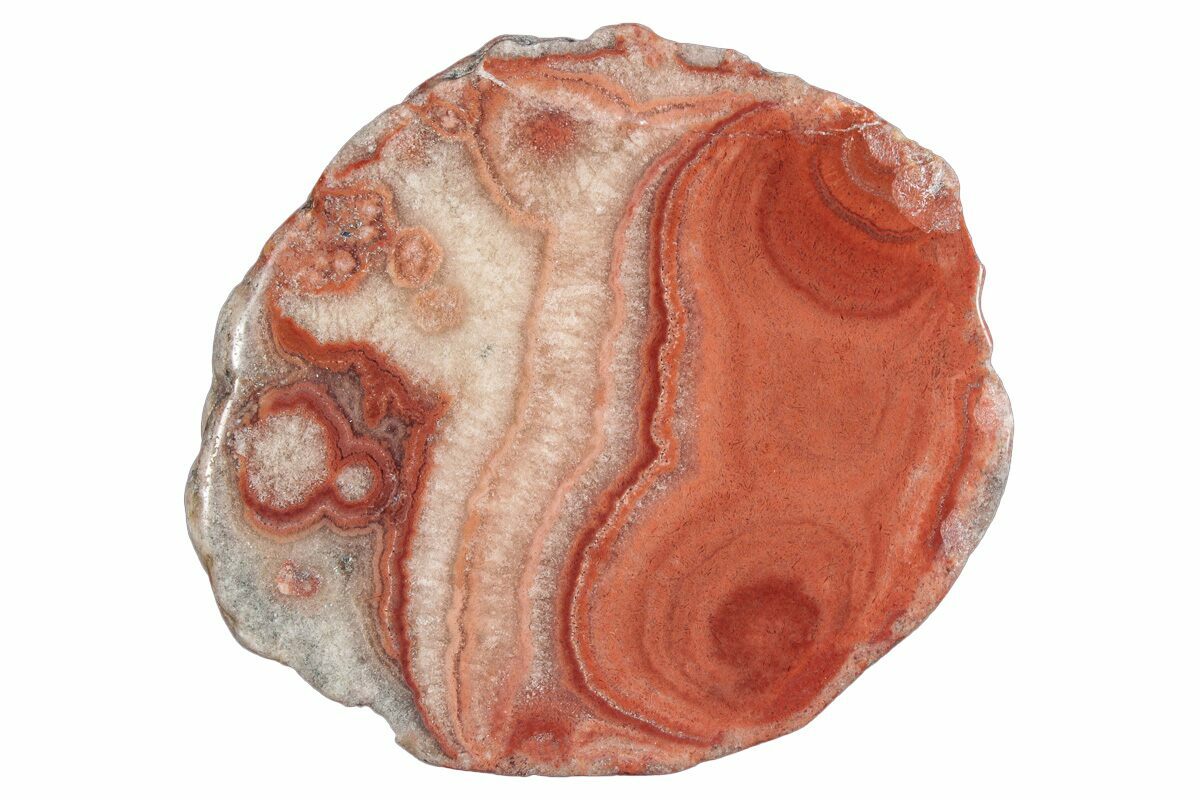 2.6" Polished Potato Agate Slice - England (#283089) For Sale ...