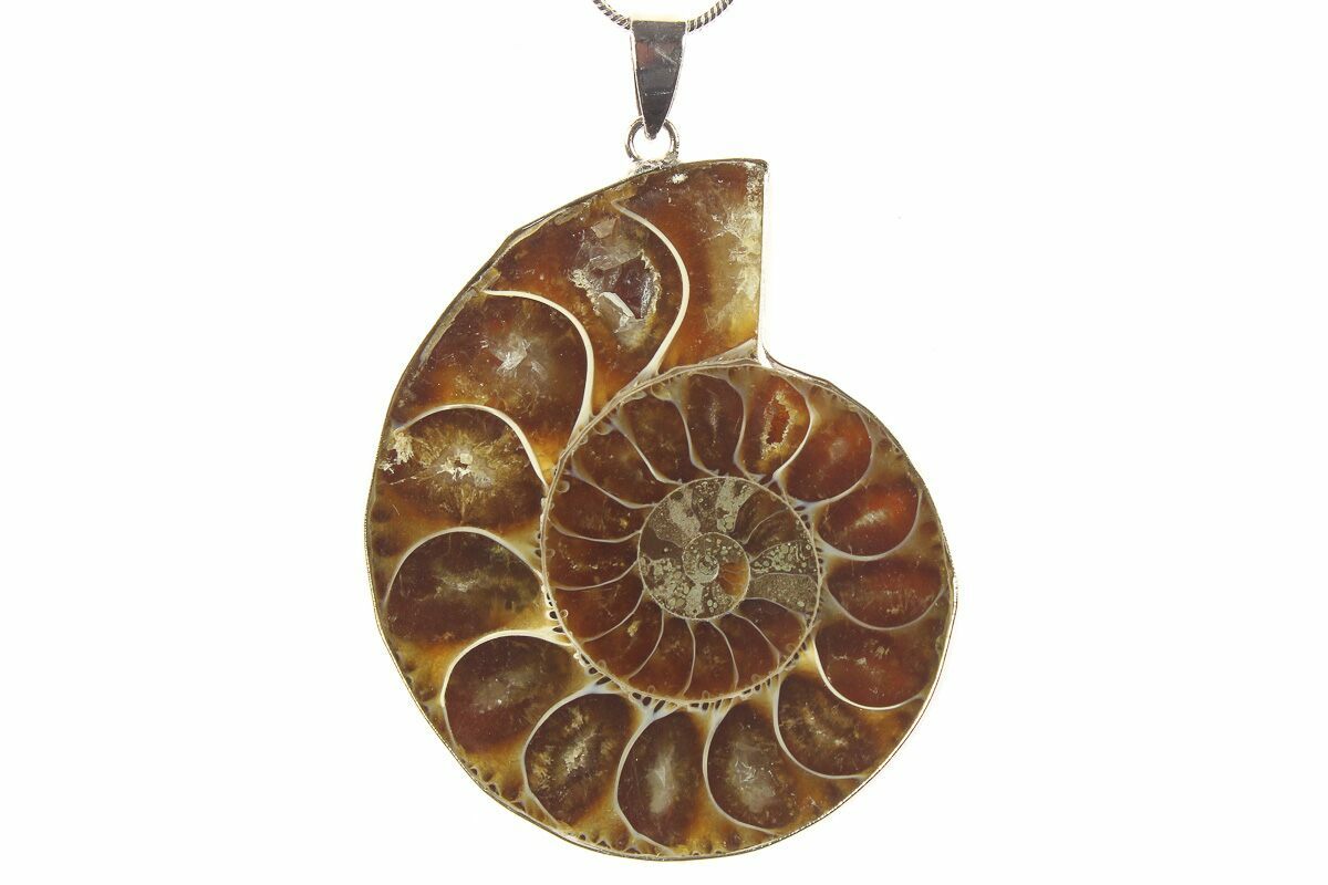 2 05 Fossil Ammonite Pendant 110 Million Years Old 284880 For