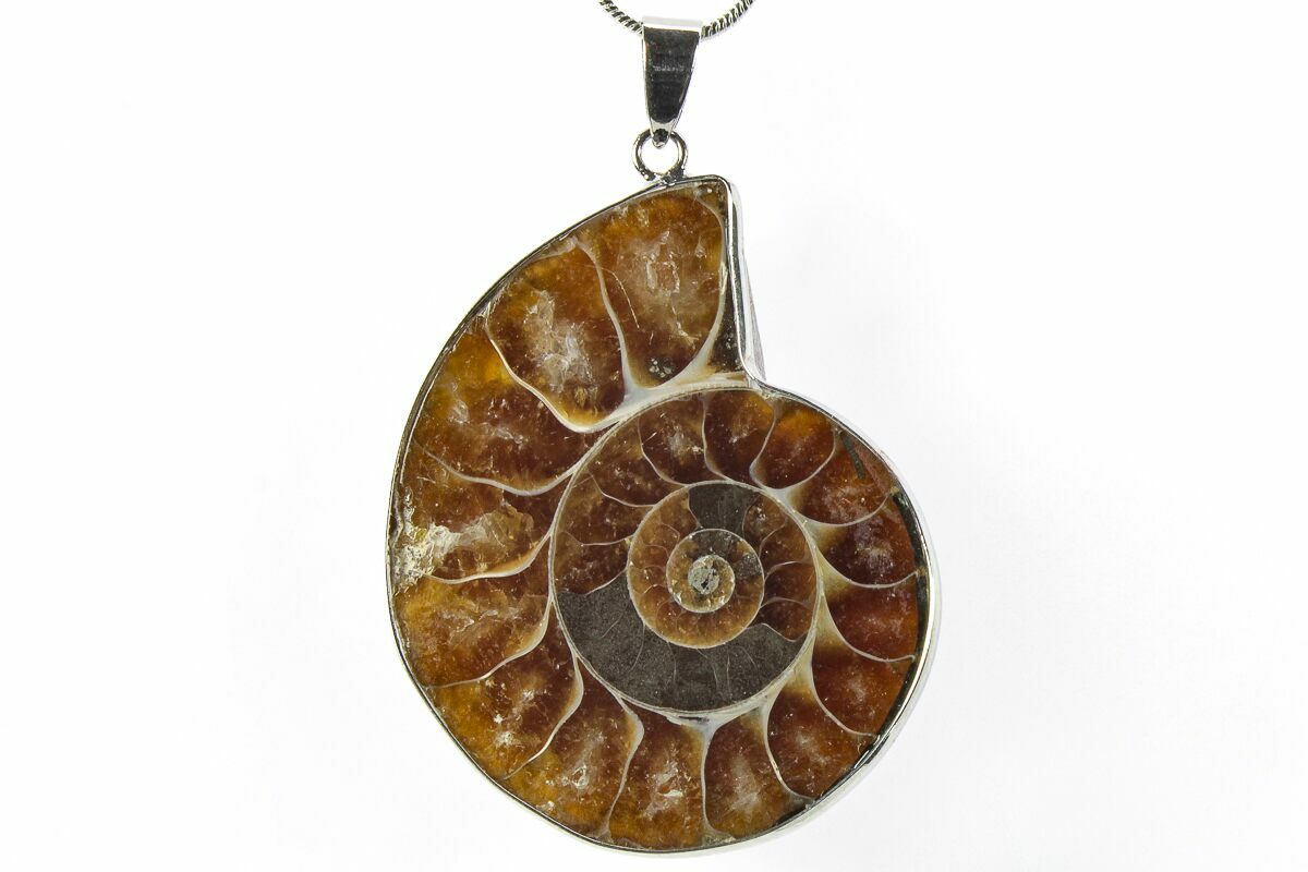 1.95" Fossil Ammonite Pendant - 110 Million Years Old (#290145) For ...