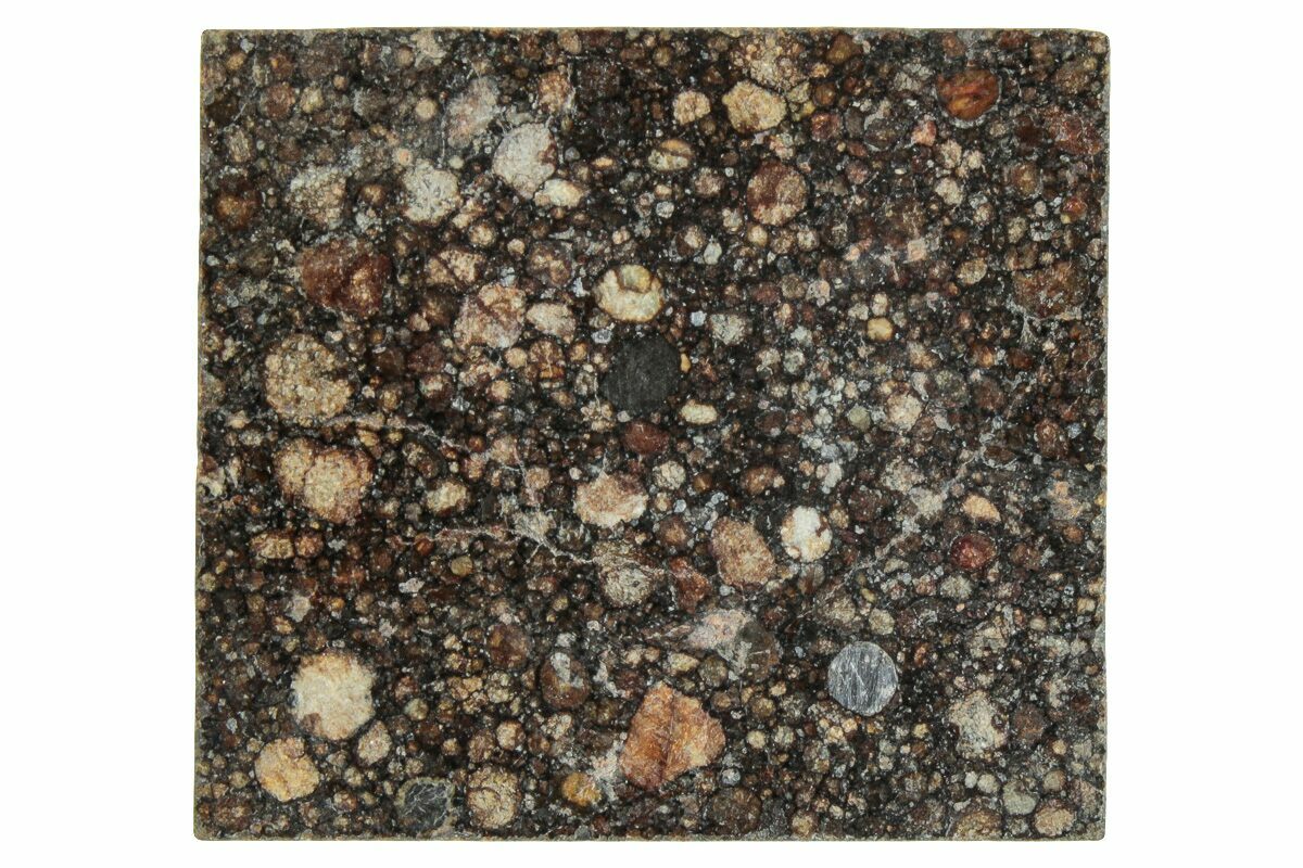 1.03" LL3 Chondrite Meteorite (6.6 g) Slice - NWA 15662 (#291385) For ...