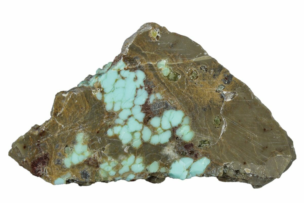 1.65" Polished Turquoise Slab - Number 8 Mine, Carlin, NV (#292315) For ...