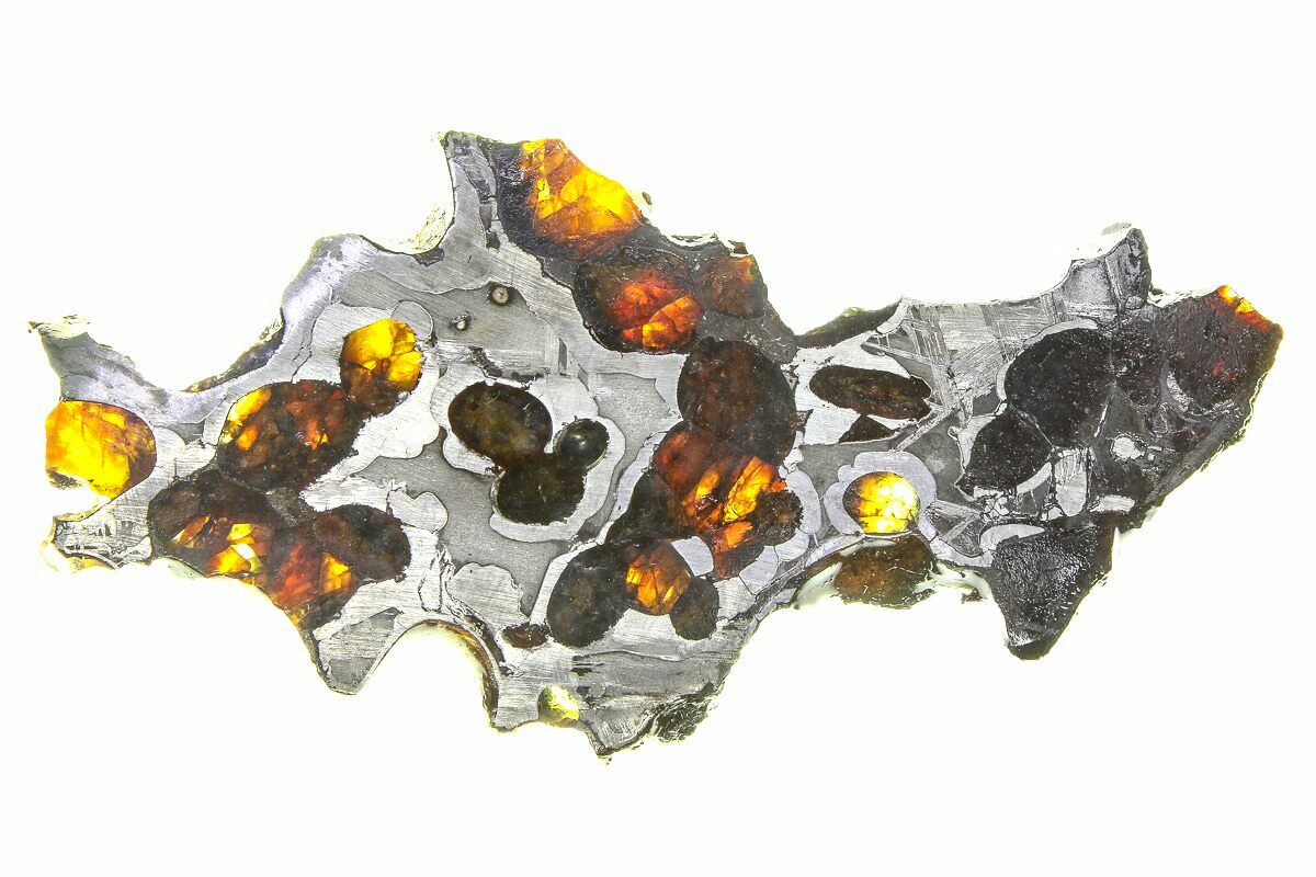 2.61" Brenham Pallasite Meteorite (17.1 g) Slice - Kansas (#294810) For ...