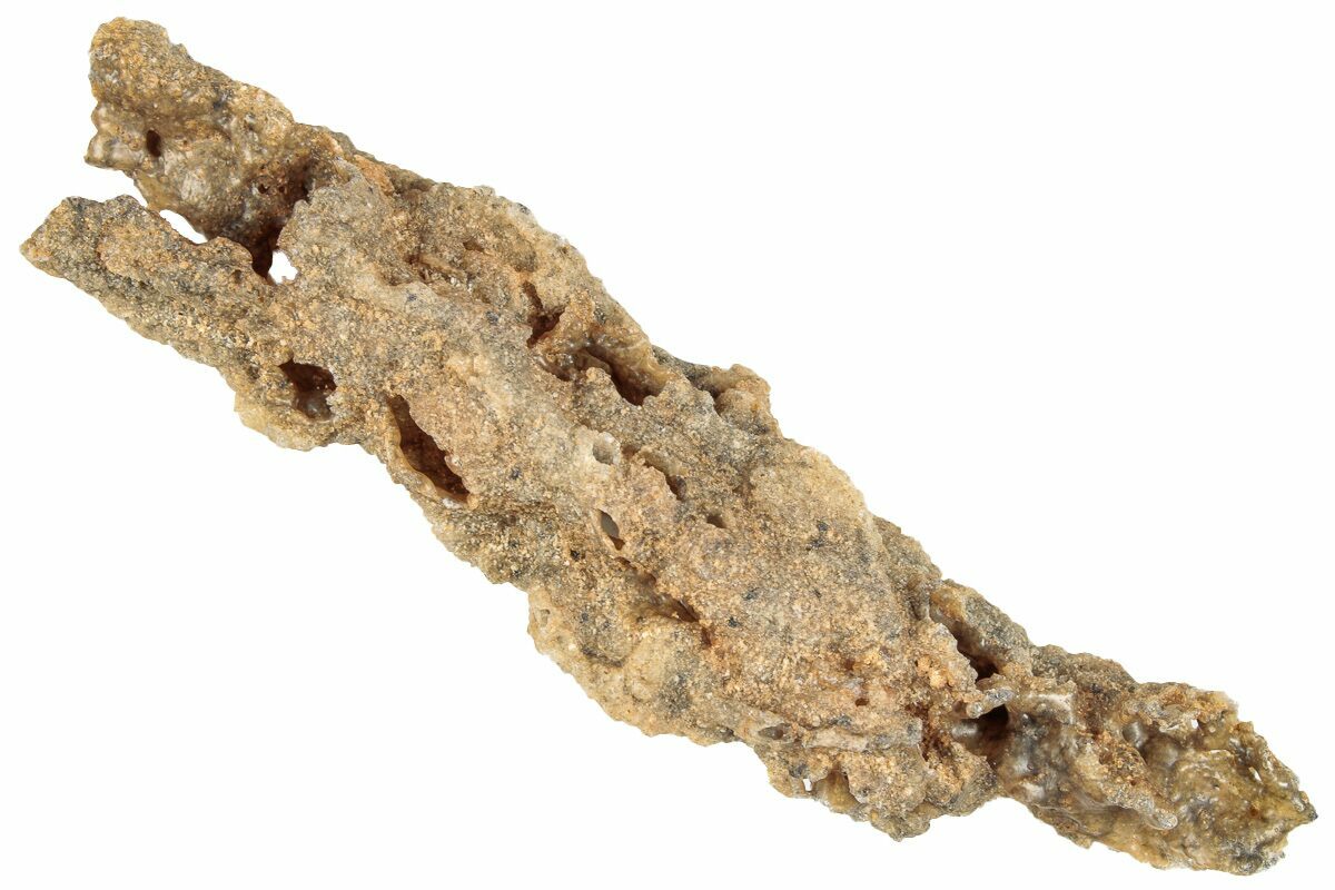 3.35" Fulgurite - "Petrified Lightning" (#295503) For Sale - FossilEra.com