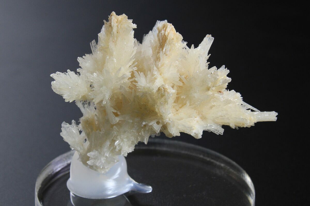 1.55" Intricate, Fluorescent Aragonite Formation - Nevada (#295228) For ...