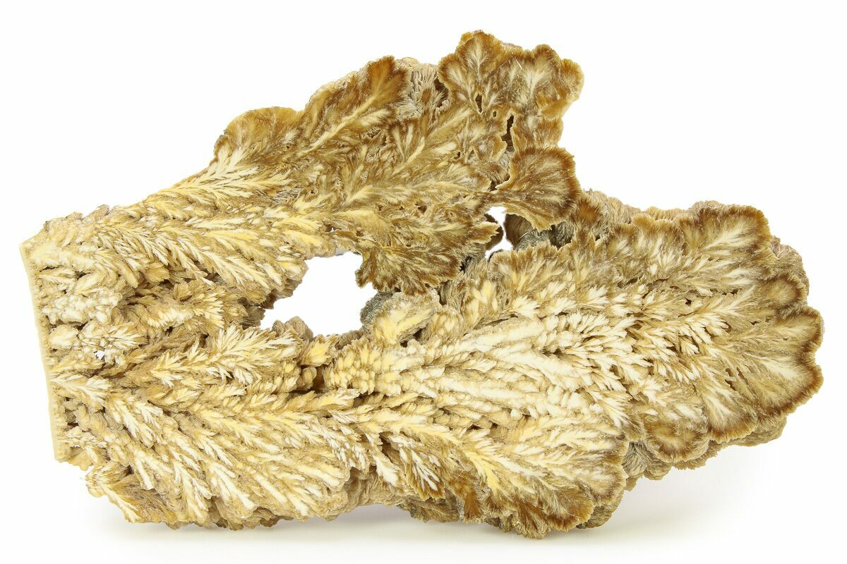 7.1" Polished Barite With Pyrite Slab - Lubin Mine, Poland (#298584 ...