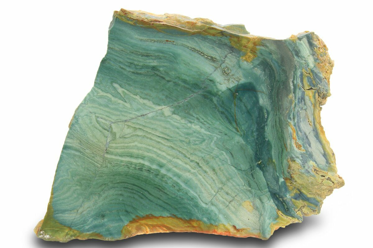 6" Gary Green Jasper (Larsonite) Bog Wood Slab - Oregon (#299302) For ...