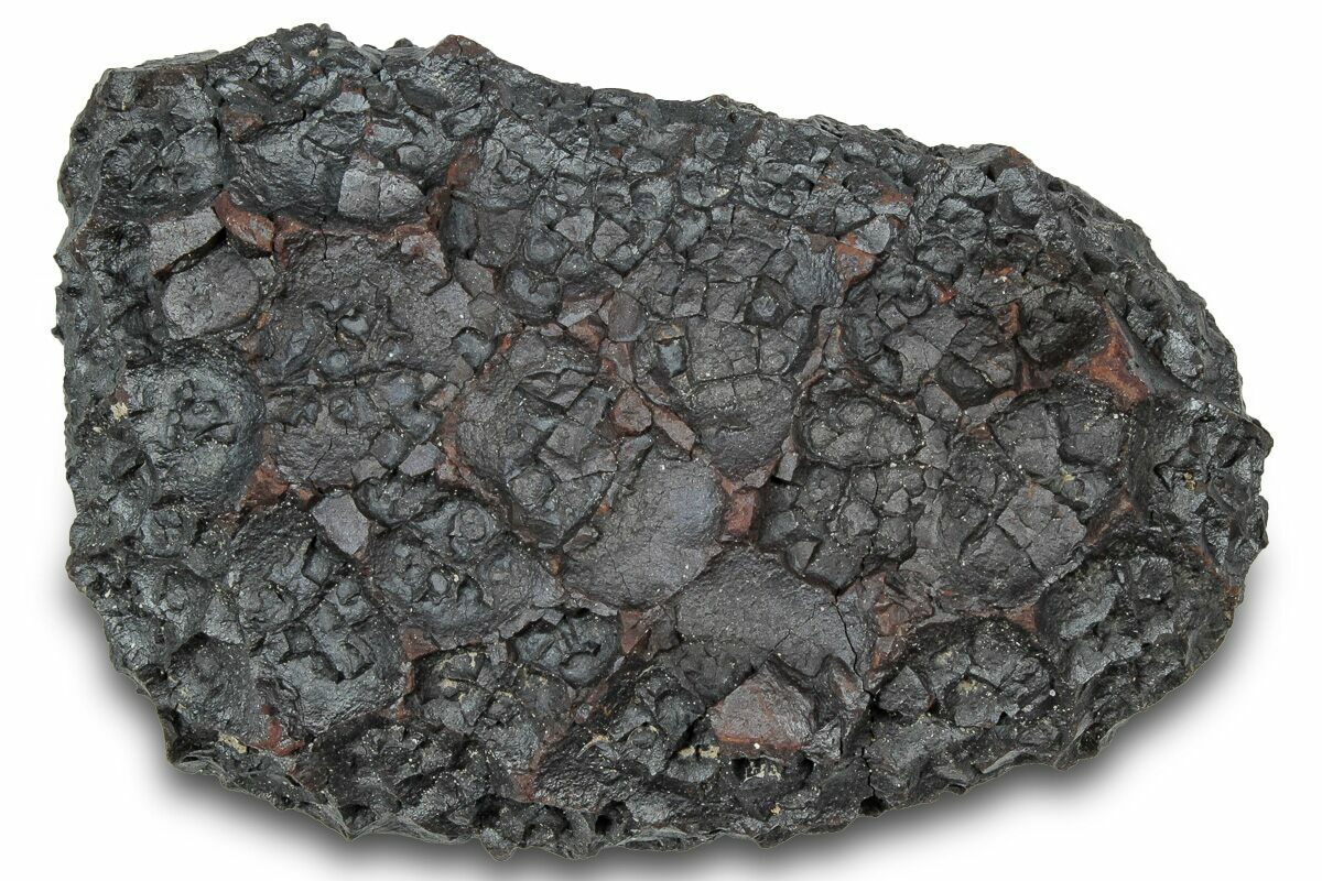 2.8" Dragon Scale Stone (Iron, Manganese, Siderite Nodule) (#302341 ...