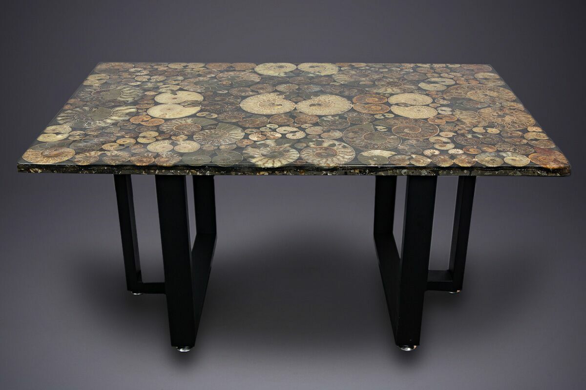 35.5" Eye-Catching, Sliced Ammonite Fossil Coffee Table (#303663) For ...
