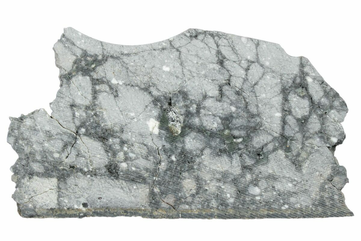 2.2" Gadamis 004 "Apollo" Lunar Meteorite (11.05 g) Slice (#304309) For ...