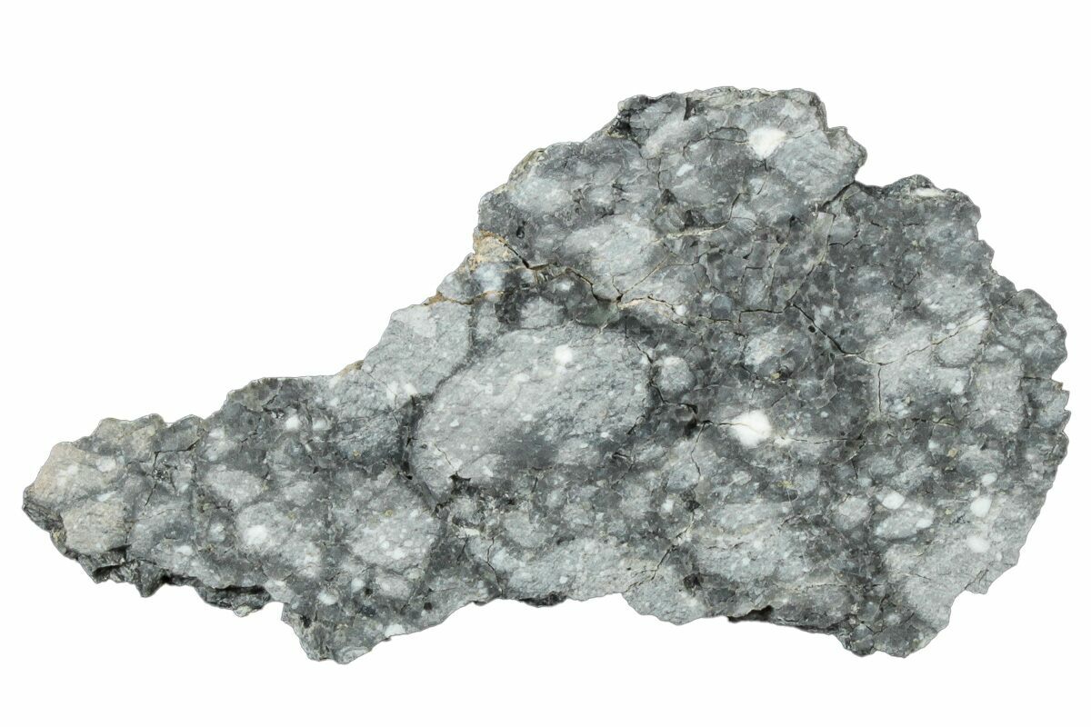 1.66" Gadamis 004 "Apollo" Lunar Meteorite (4.29 g) Slice (#304319) For ...