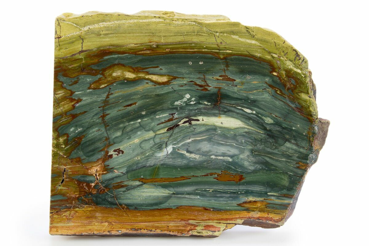5.3" Gary Green Jasper (Larsonite) Bog Wood Slab - Oregon (#302906) For ...
