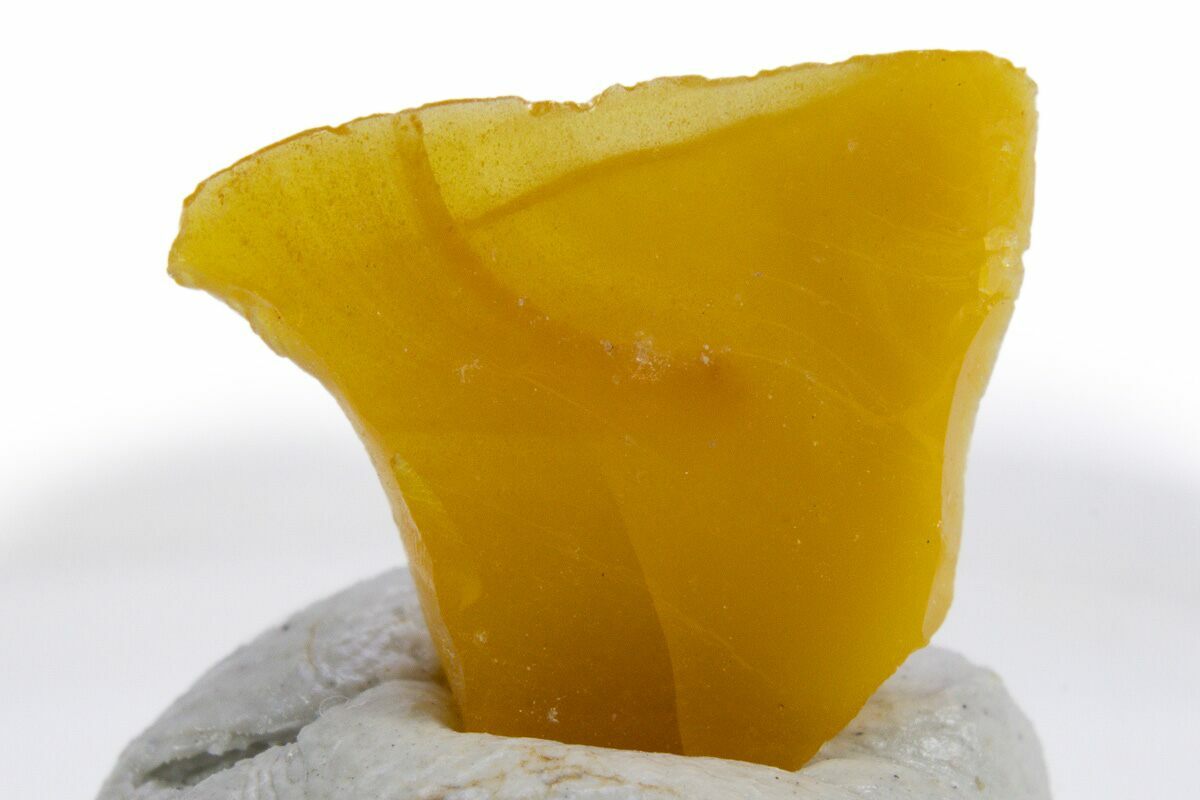 .42" Kansas Amber (Jelinite) Specimen - George Jelinek Collection ...