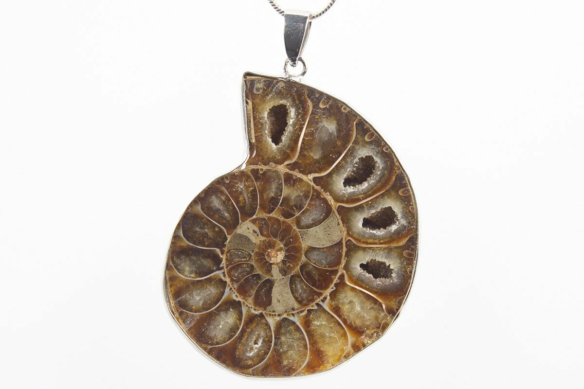 2" Fossil Ammonite Pendant - 110 Million Years Old (#306463) For Sale ...